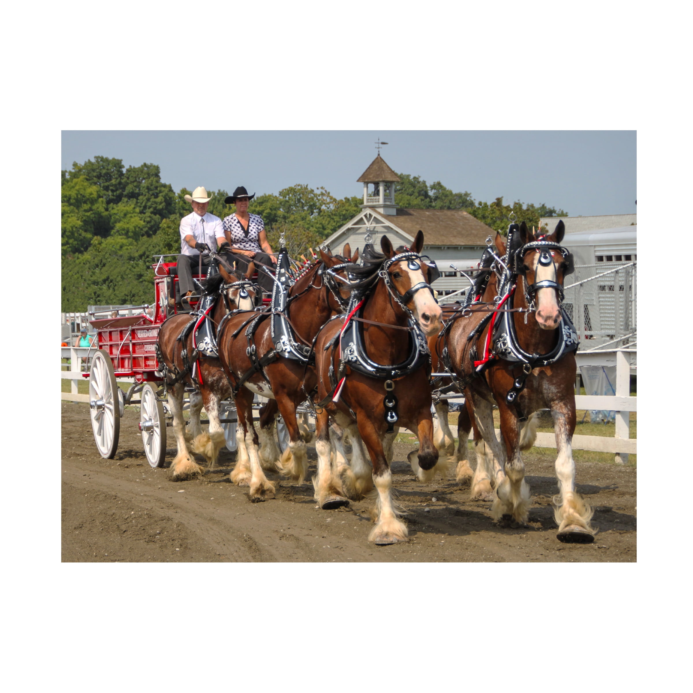 Robert Michaud 'Clydesdale 6 horse Hitch' Canvas Art - Walmart.com