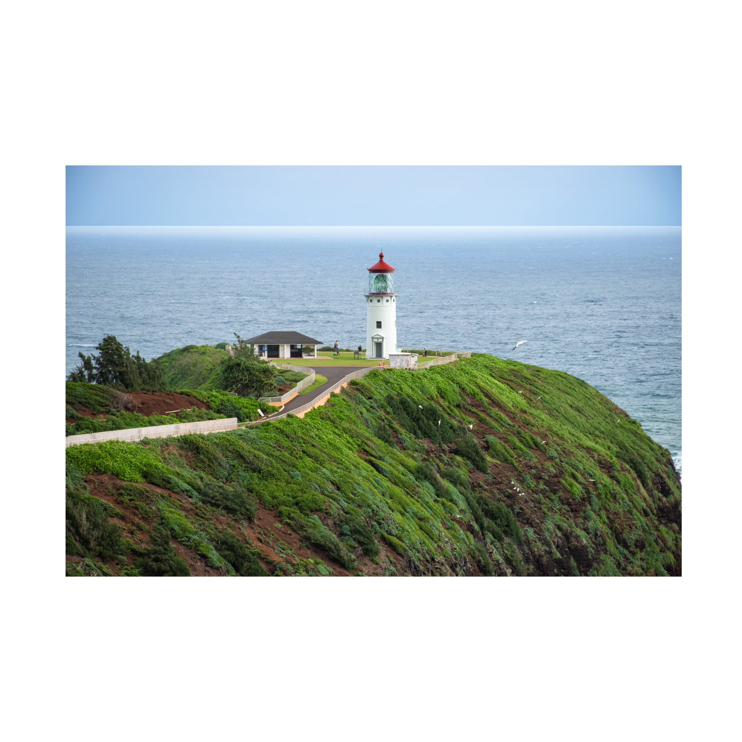 Robert Michaud 'Kilauea Lighthouse 3' Canvas Art - Walmart.com