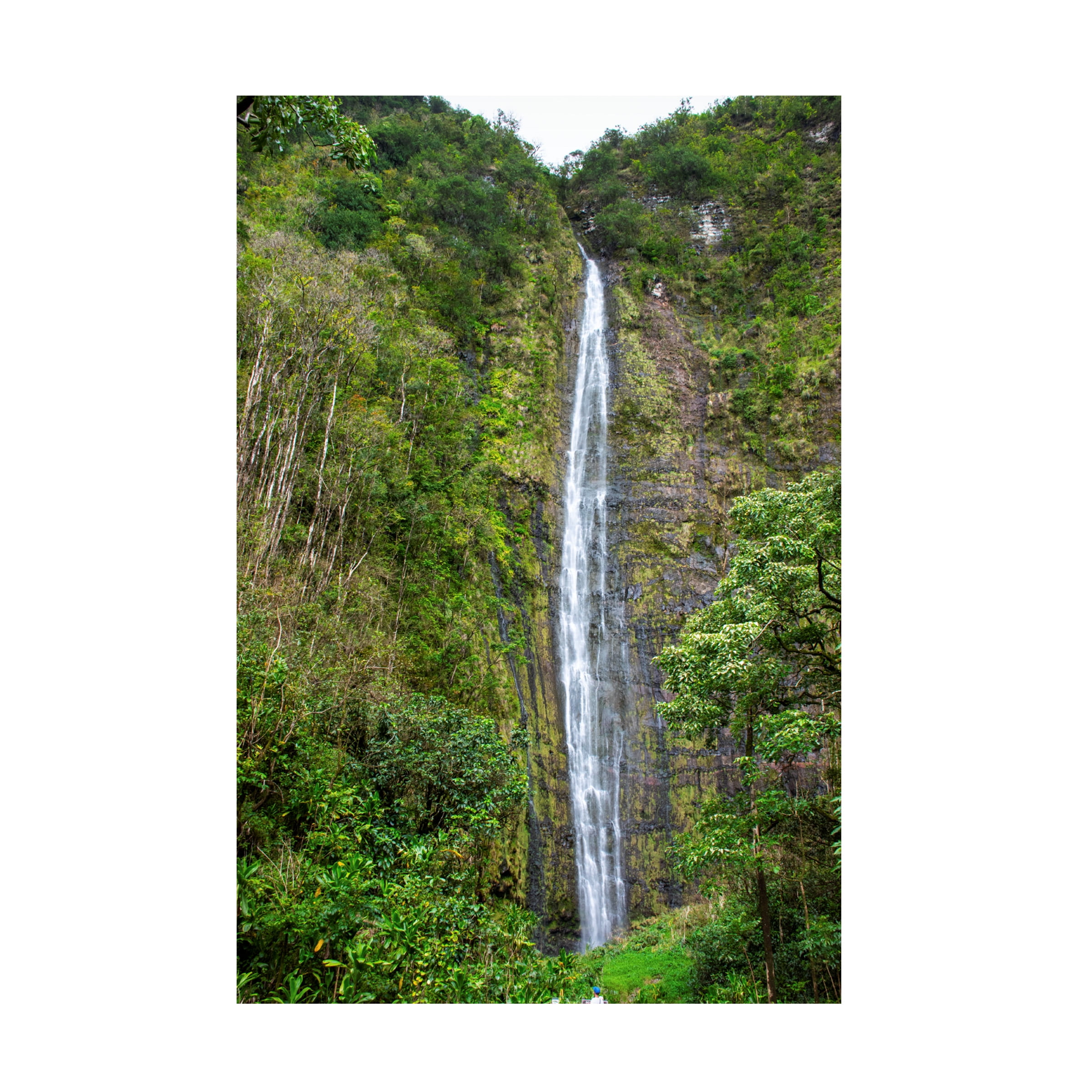 Robert Michaud 'Waimoku Falls' Canvas Art - Walmart.com