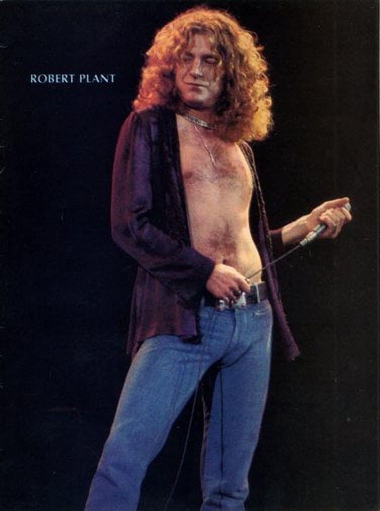 Robert Plant Poster 16x24 Poster Medium Art Poster 16x24 Unframed, Age ...