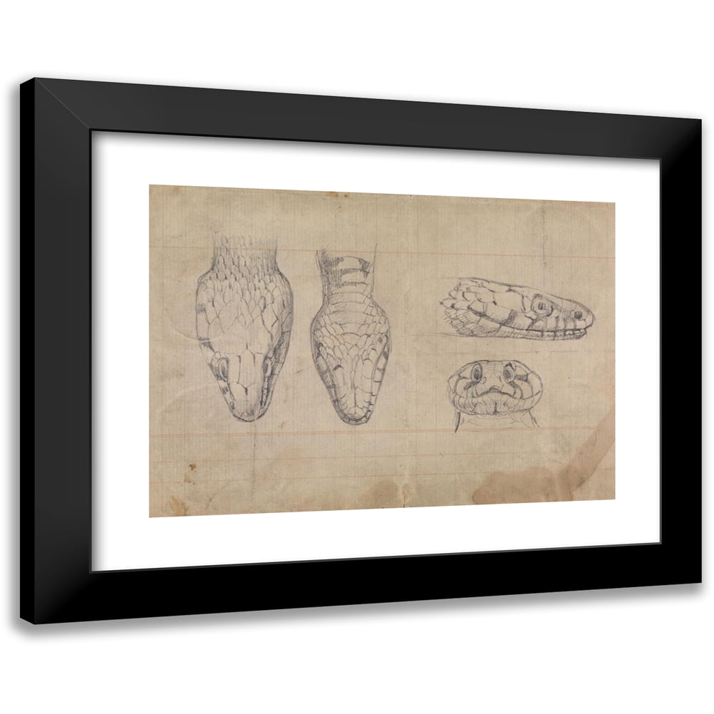 Robert Smirke 24x18 Black Modern Framed Museum Art Print Titled - Study ...