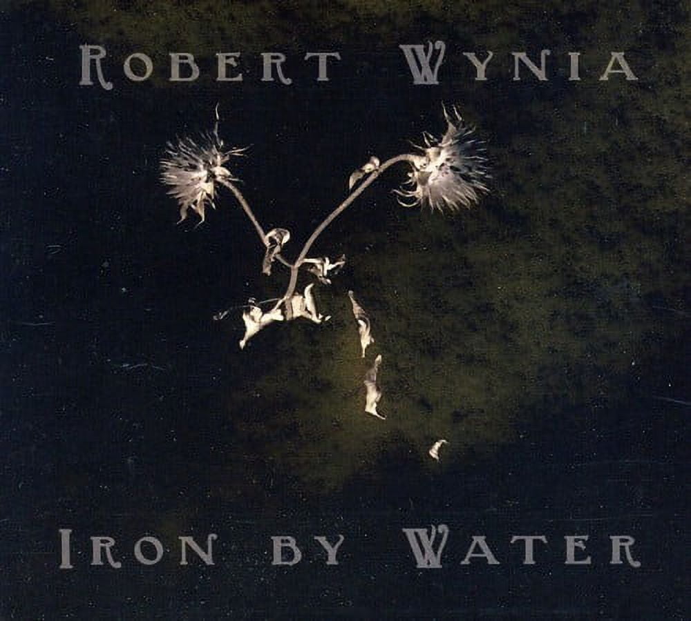 Robert Wynia - Iron By Water - Music & Performance - CD - Walmart.com
