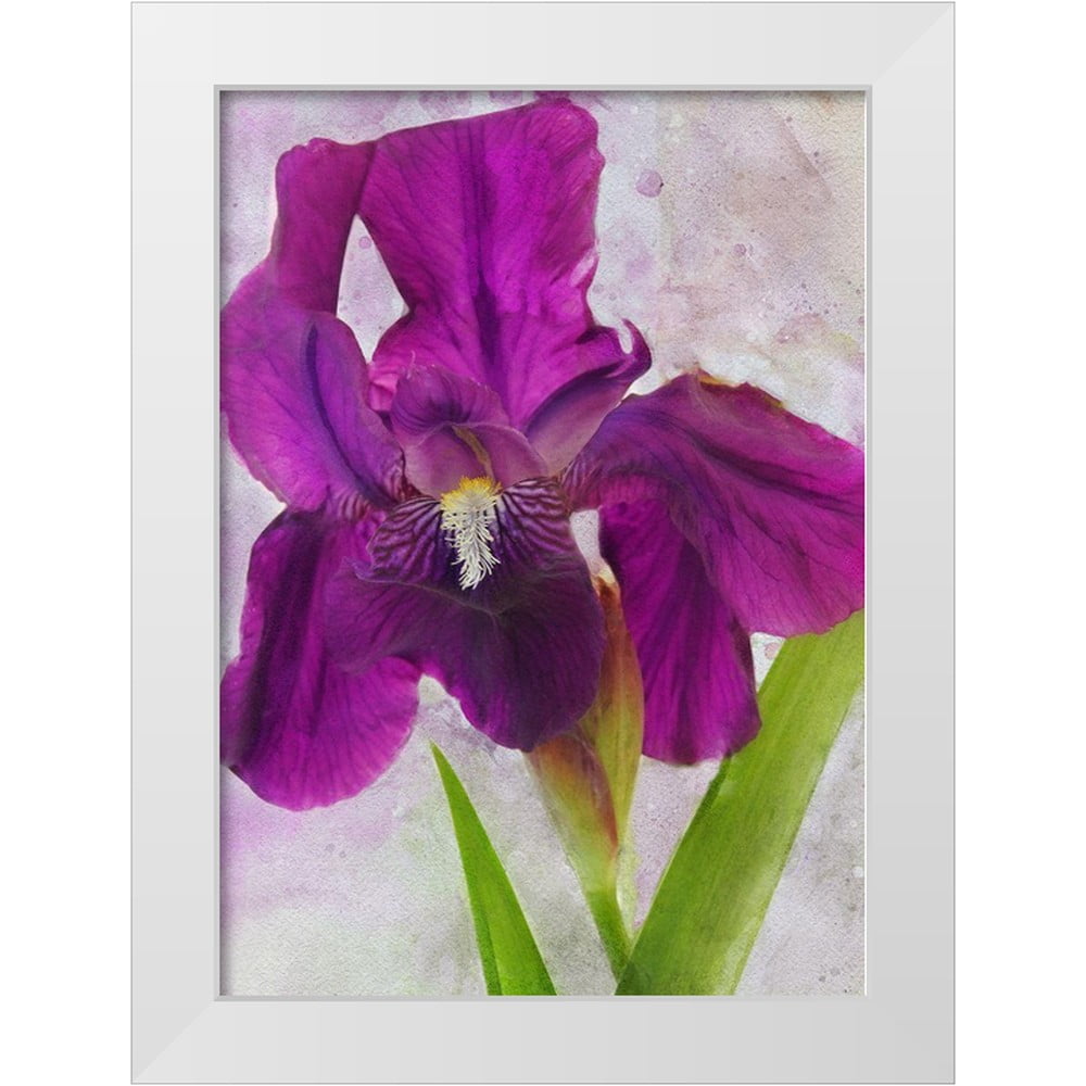 Robertson, Leda 24x32 White Modern Wood Framed Museum Art Print Titled - Easy Beauty - Walmart.com