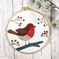 Robin Applique hoop kit from felt APPROB1O - Walmart.com