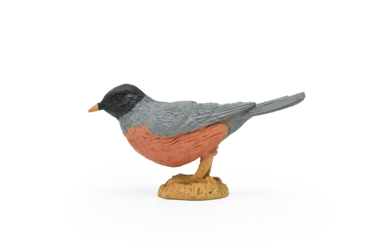 Robin, Bird, Very Nice Rubber Bird, Educational, Realistic, Hand ...