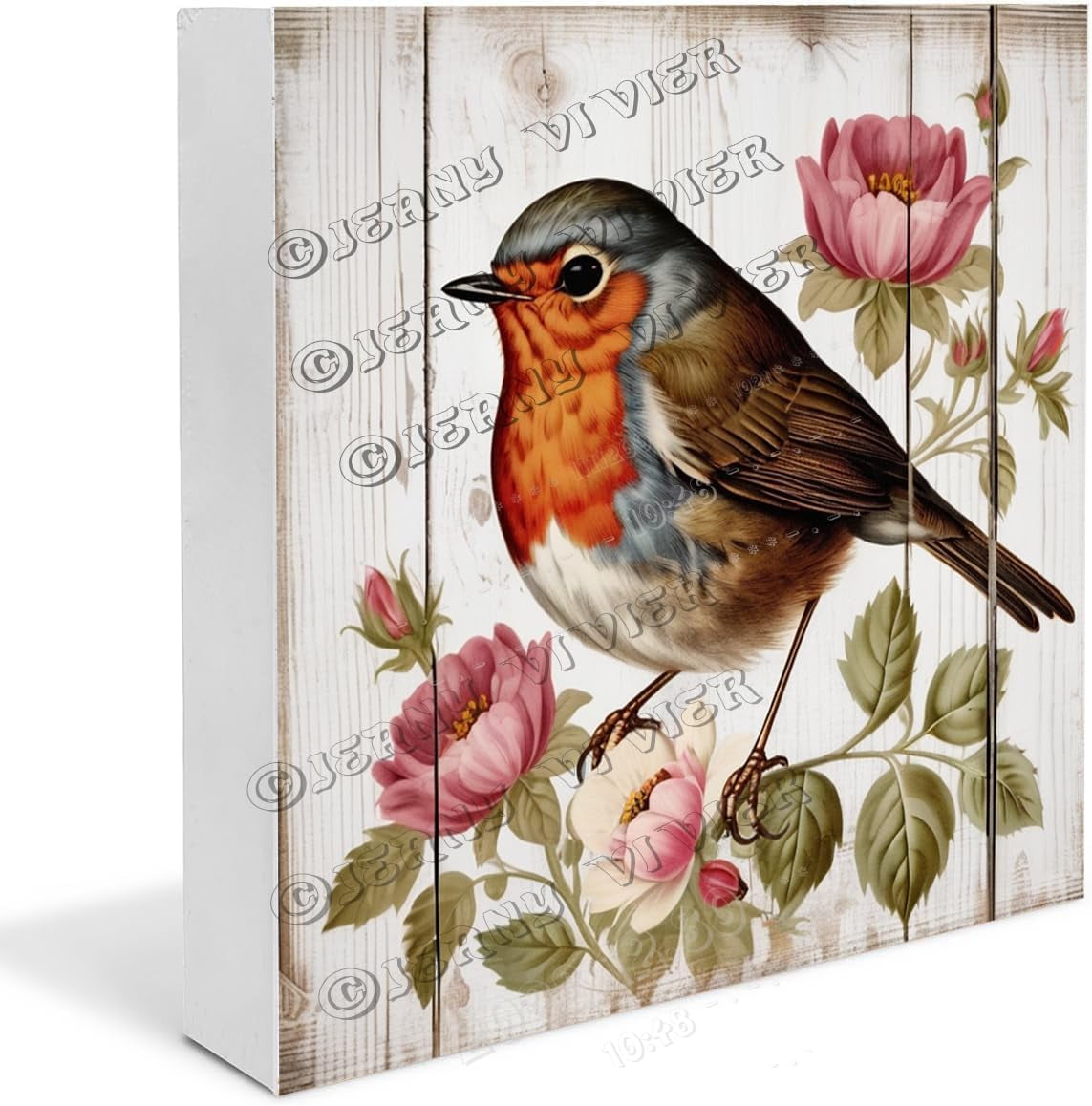 Robin Bird Wooden Box Sign Robin Bird Gifts Funny Bird Decorations Boho ...