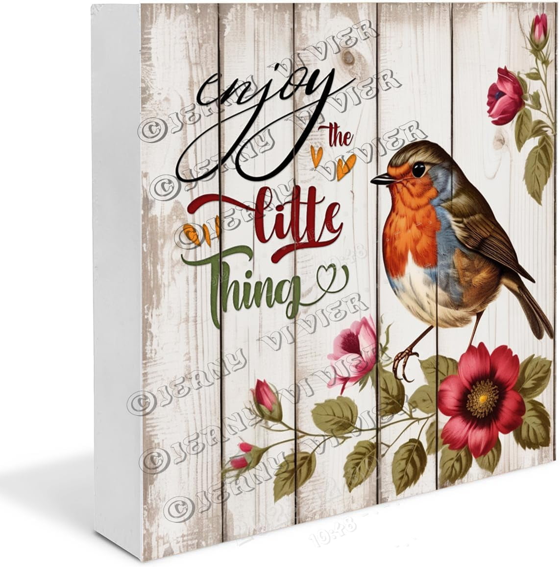Robin Bird Wooden Box Sign Robin Bird Gifts Funny Bird Design Boho ...