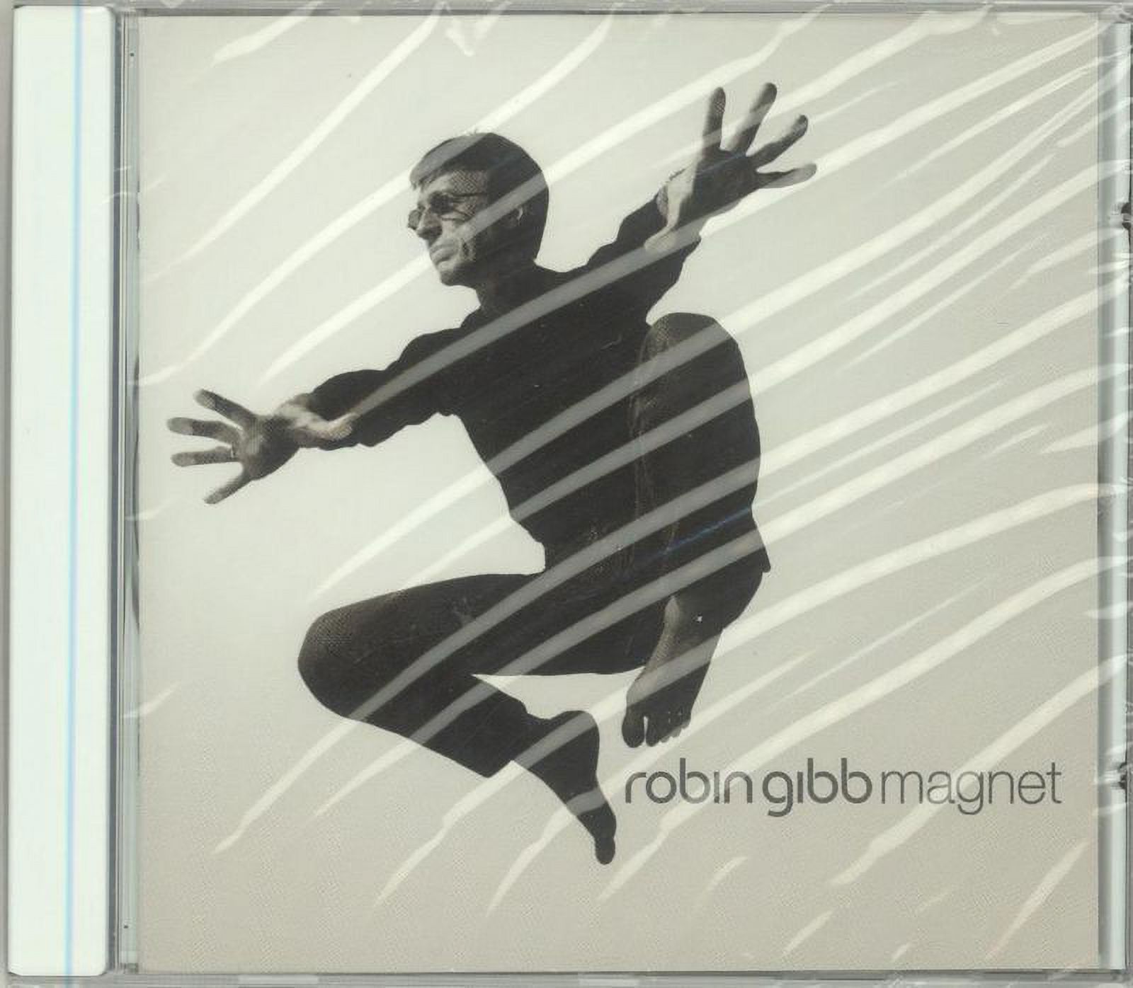 Robin Gibb - Magnet - CD - Walmart.com