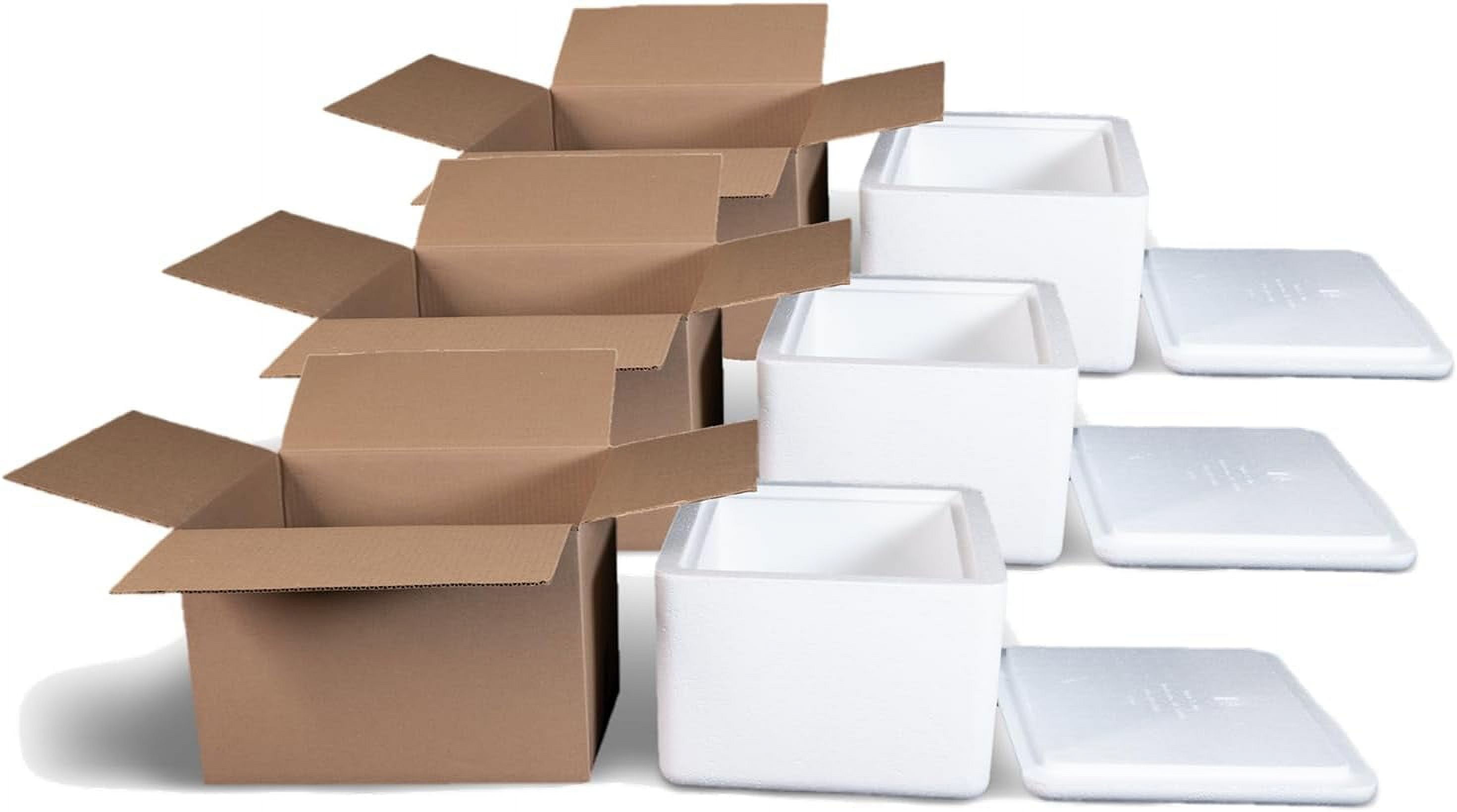 Robin II EPS Foam Cooler (Outside Dimensions: 12” x 11” x 9”) with ...