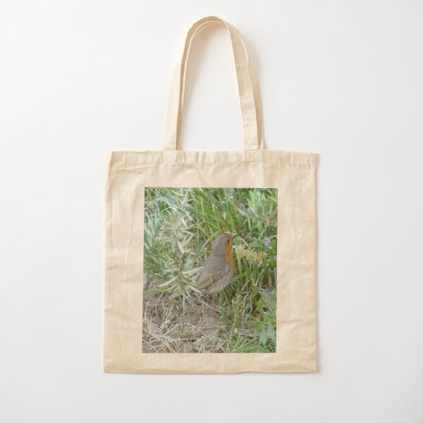 Robin, Wildlife, Wild Bird, Garden Bird, Garden Birds, Bird, Birds ...