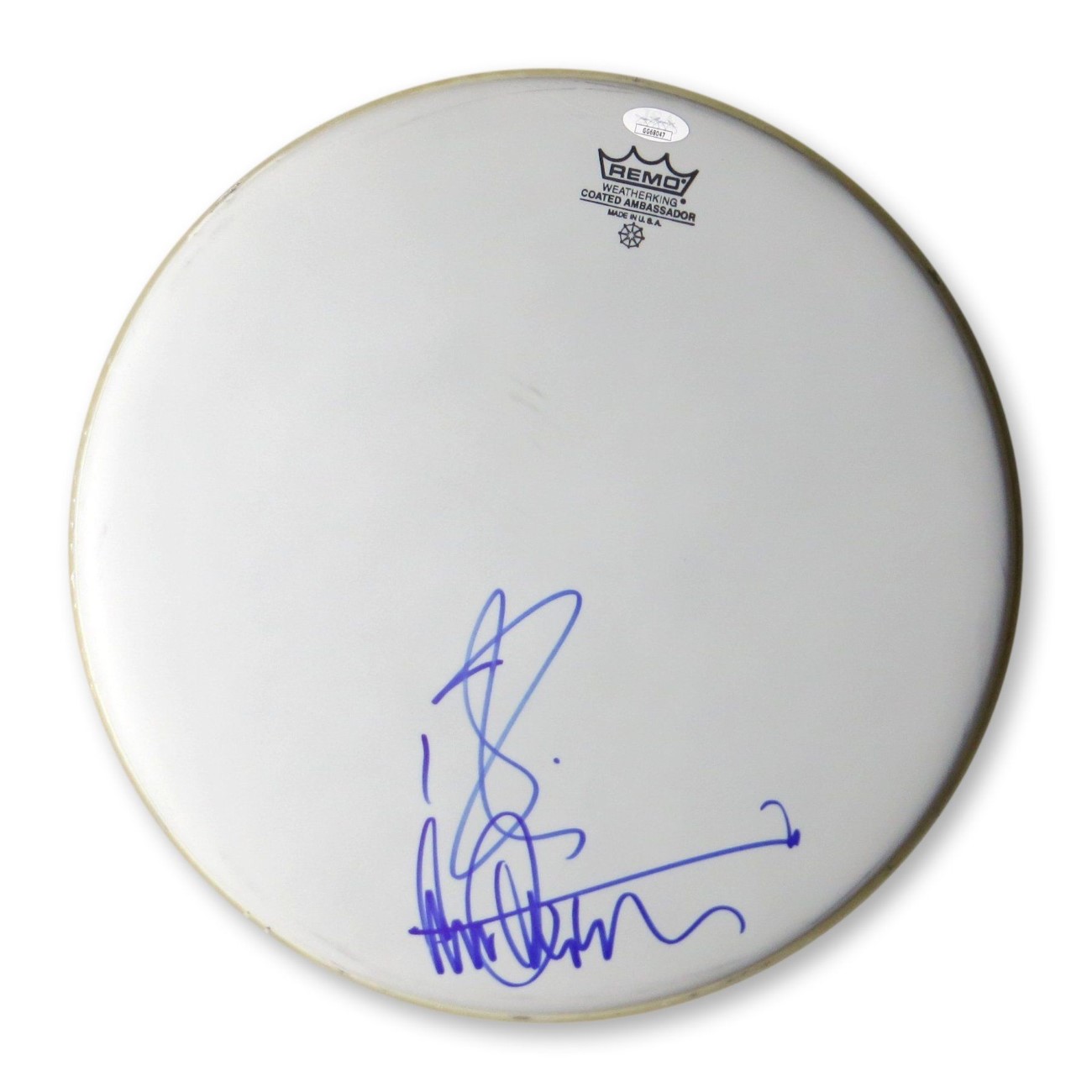 Robin Zander Tom Petersson Dual Autographed 14" Drumhead Cheap Trick ...