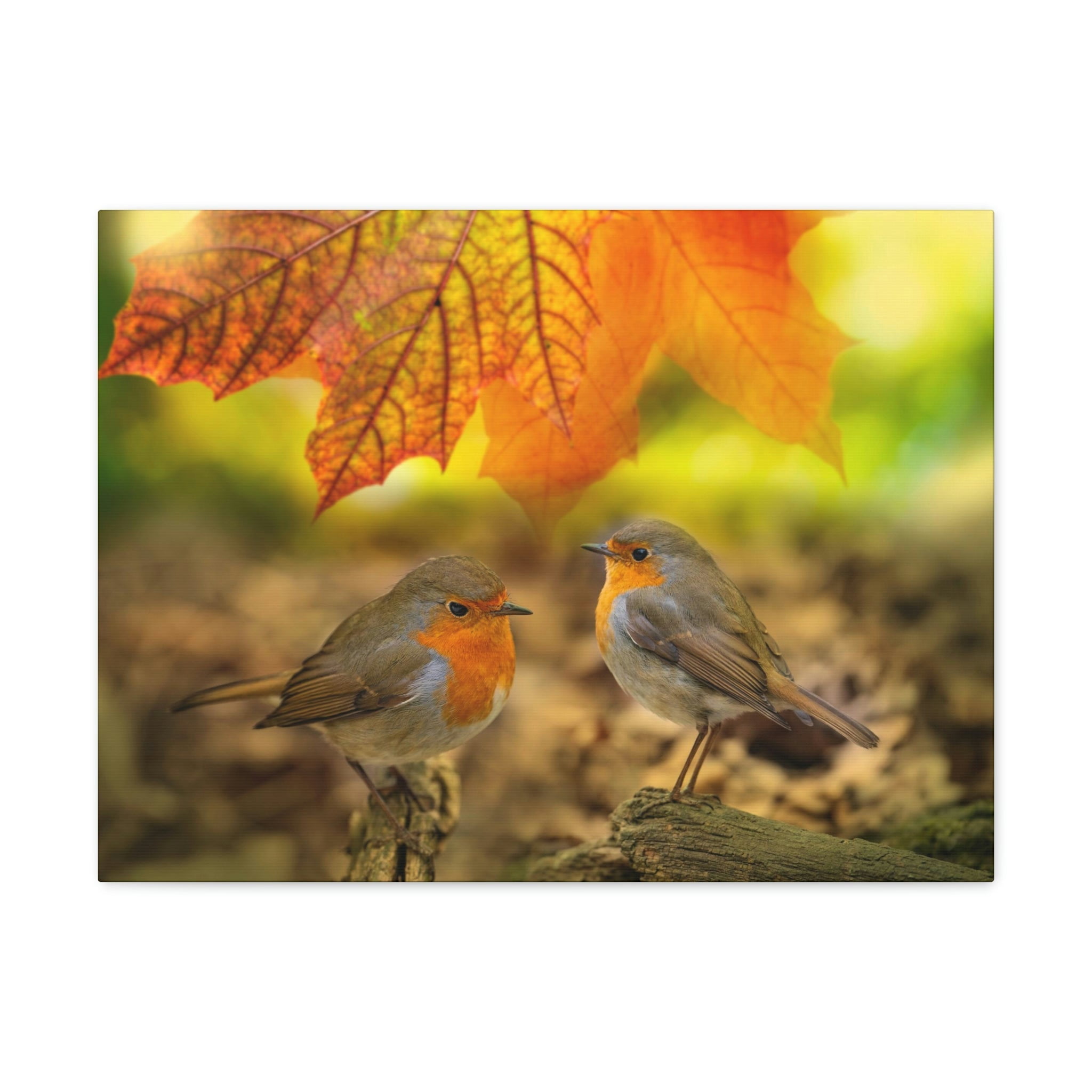 Robins in the Forest Print Animal Wall Art Wildlife Canvas Prints Wall ...