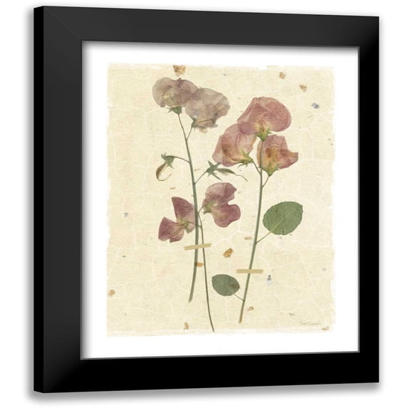 Robinson, Carol 12x14 Black Modern Framed Museum Art Print Titled ...