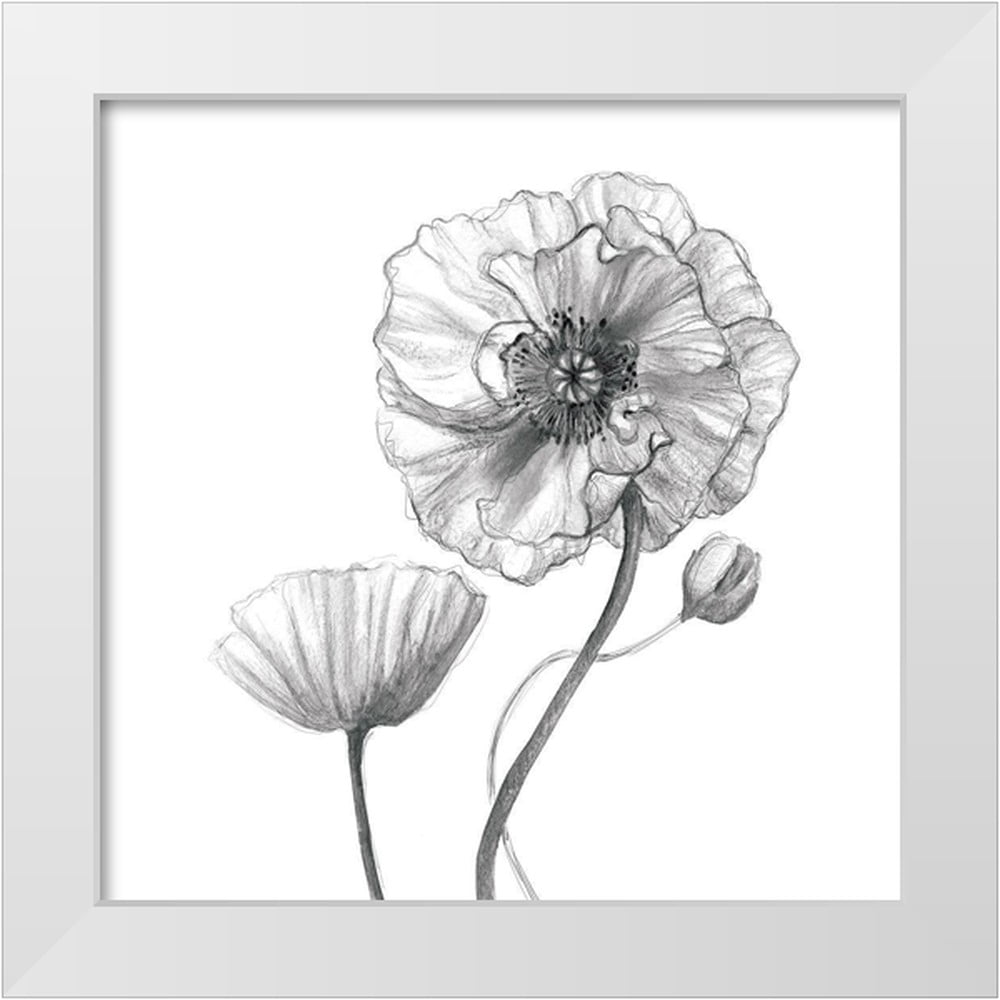 Robinson, Carol 15x15 White Modern Wood Framed Museum Art Print Titled ...