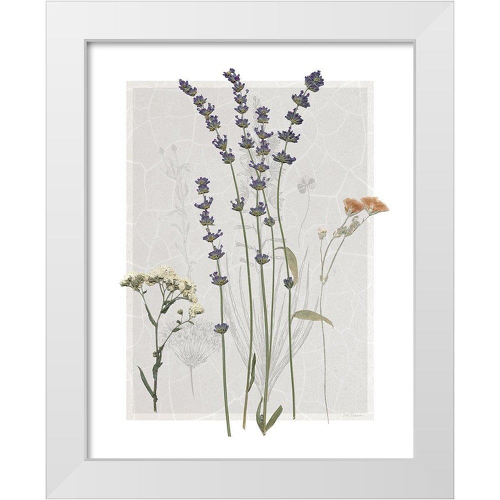 Robinson, Carol 26x32 White Modern Wood Framed Museum Art Print Titled ...