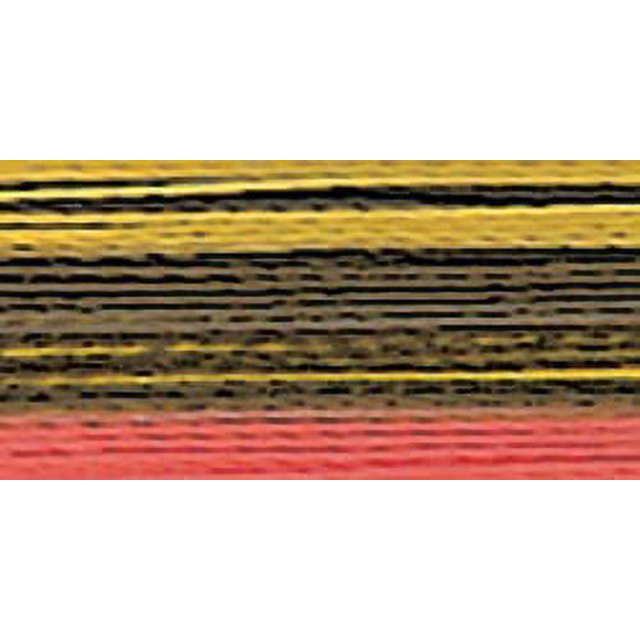 Robison-Anton Rayon Super Strength Thread Variegated 700yd-3CC Autumn ...