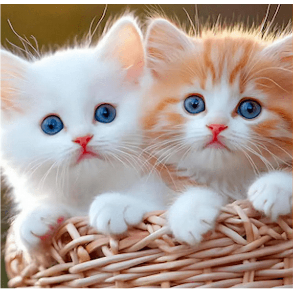 Robot Cat,Realistic Robot Cat,Robot Cat Toy,Interactive Stuffed Pet ...