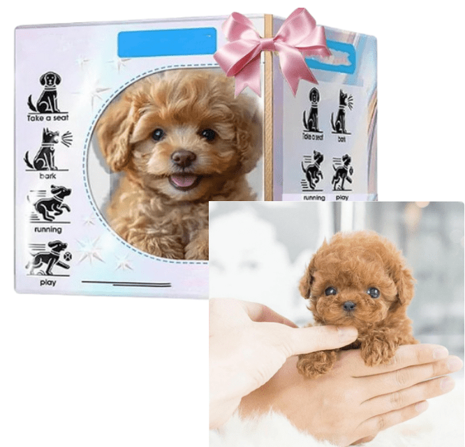 Robot Dog, 2025 New Realistic Robotic Dogs, Robot Puppy That Acts Like ...