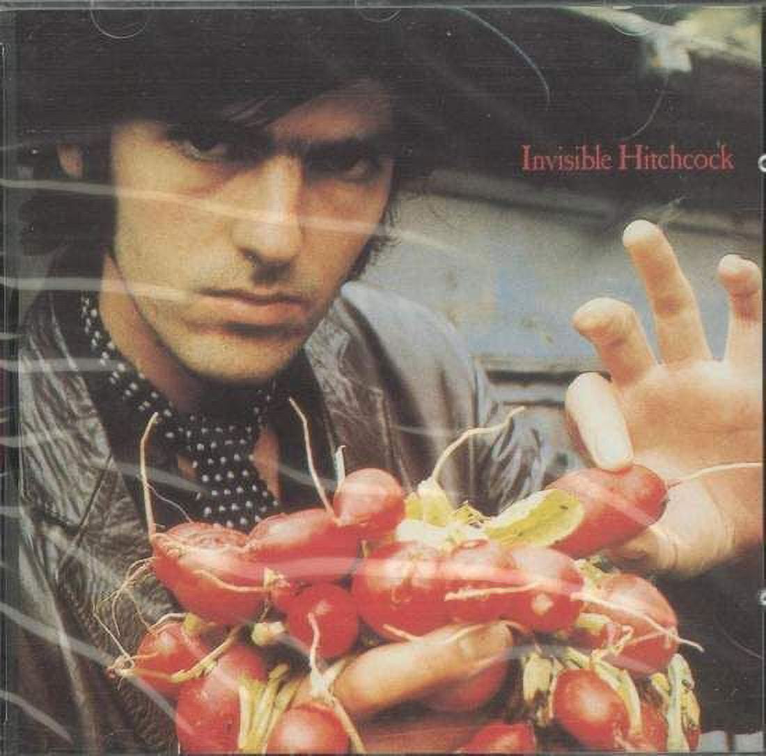 Robyn Hitchcock - Invisible Hitchcock - CD - Walmart.com