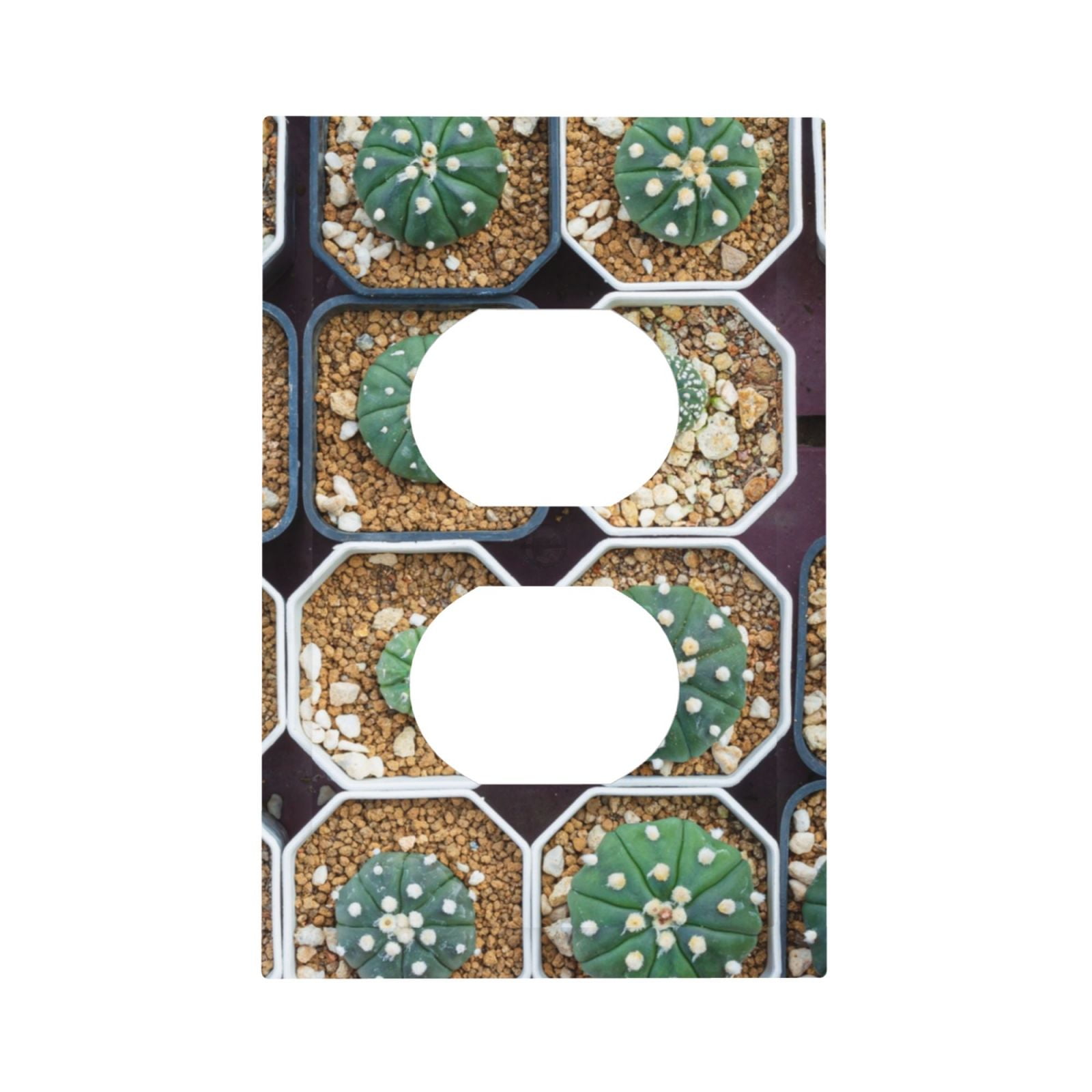 Rocae Cactus Garden for Decorator Light Switch or Receptacle Outlet ...