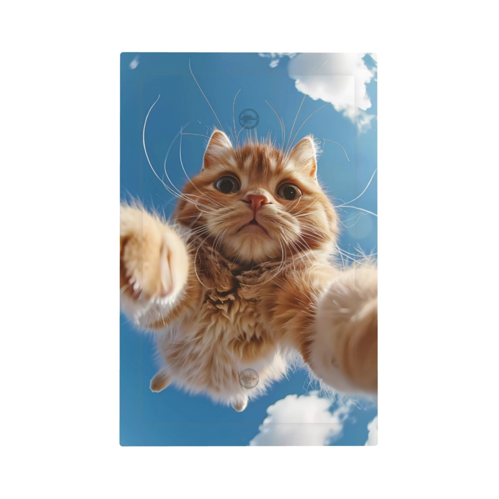 Rocae Playful Cat Fisheye View for Decorator Light Switch or Receptacle ...