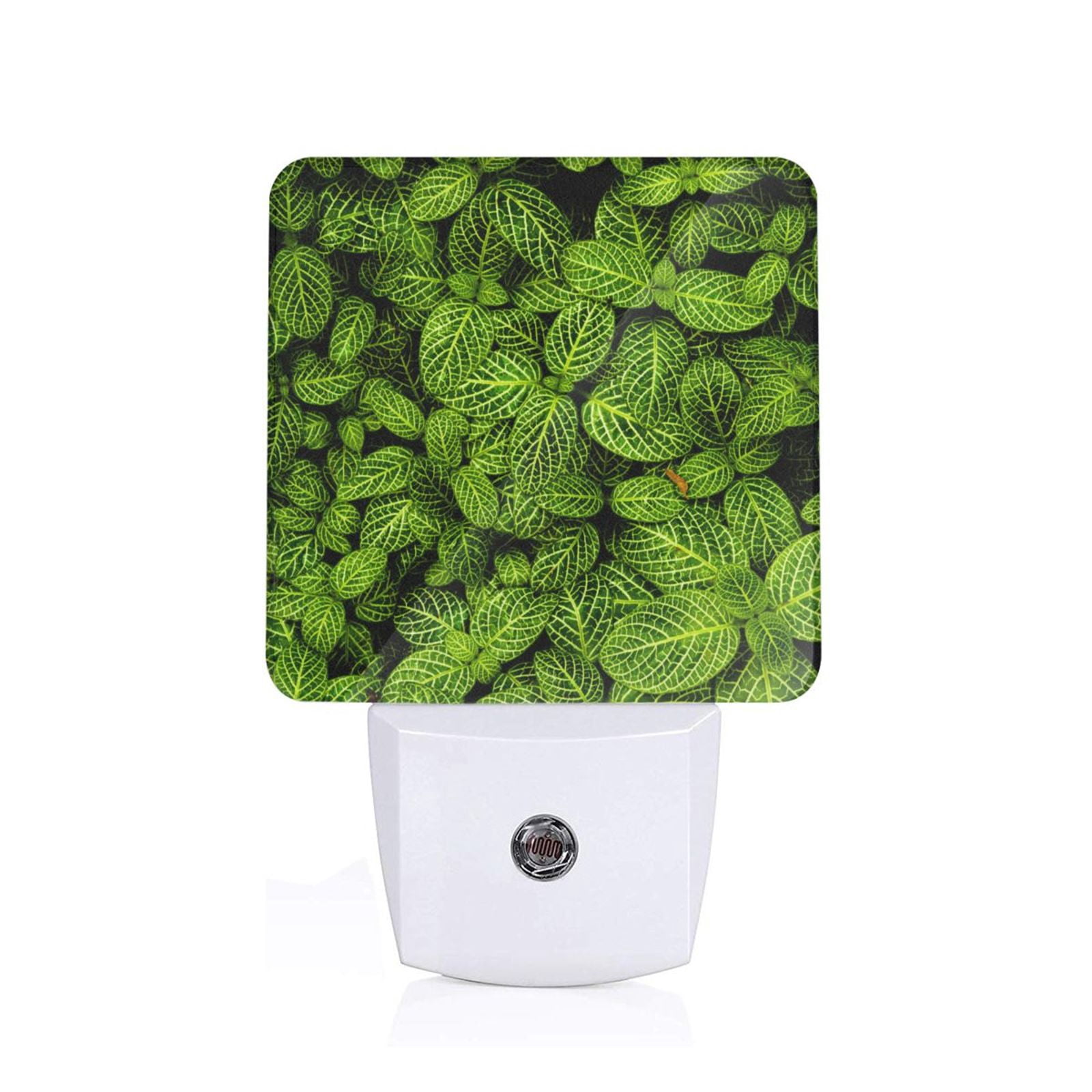 Rocae Tiny Green Fern Leaves for 0.5W Plug in Night Light, Dusk to Dawn ...