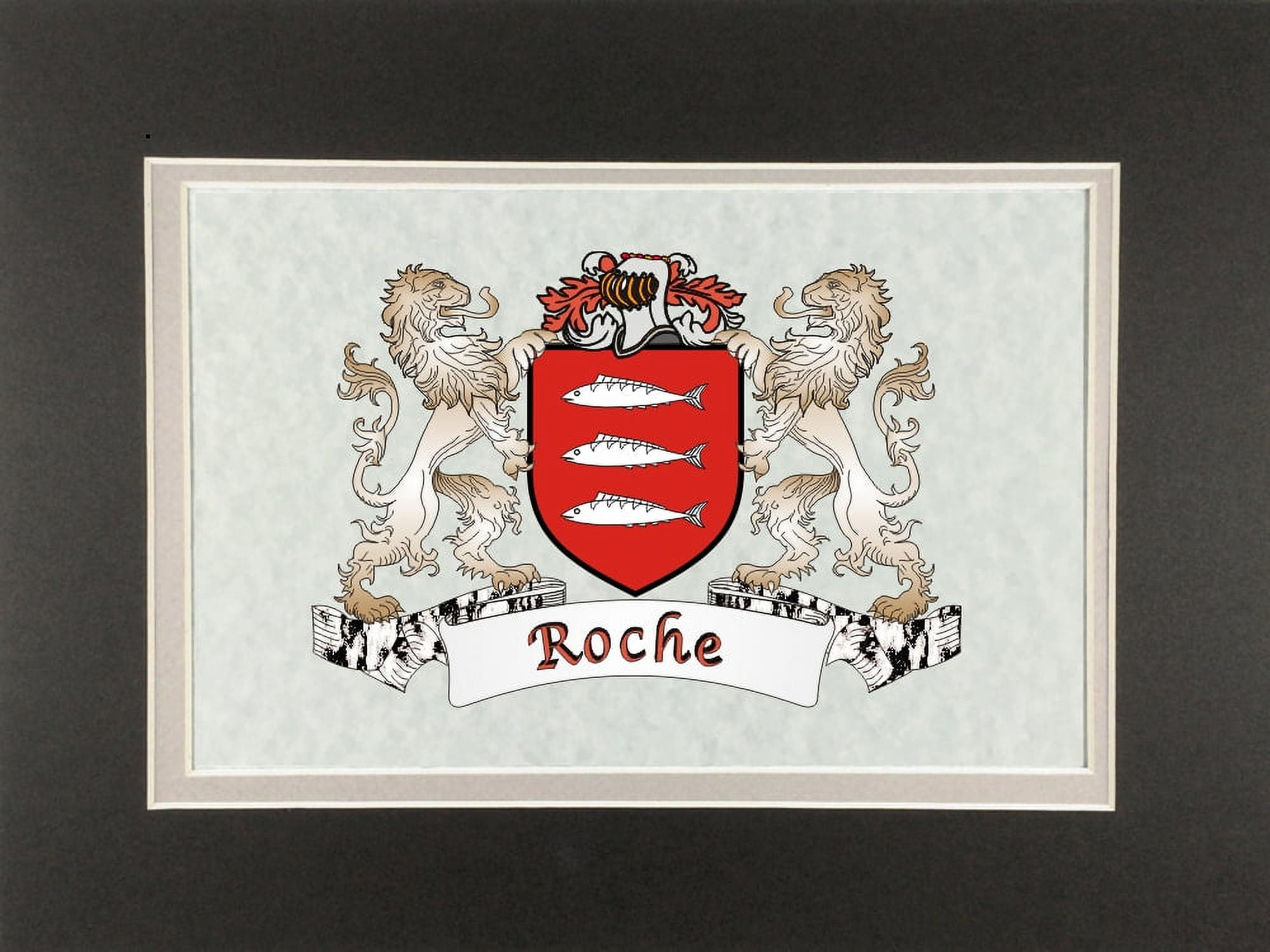 Roche Irish Coat of Arms Print - Frameable 9" x 12" - Walmart.com