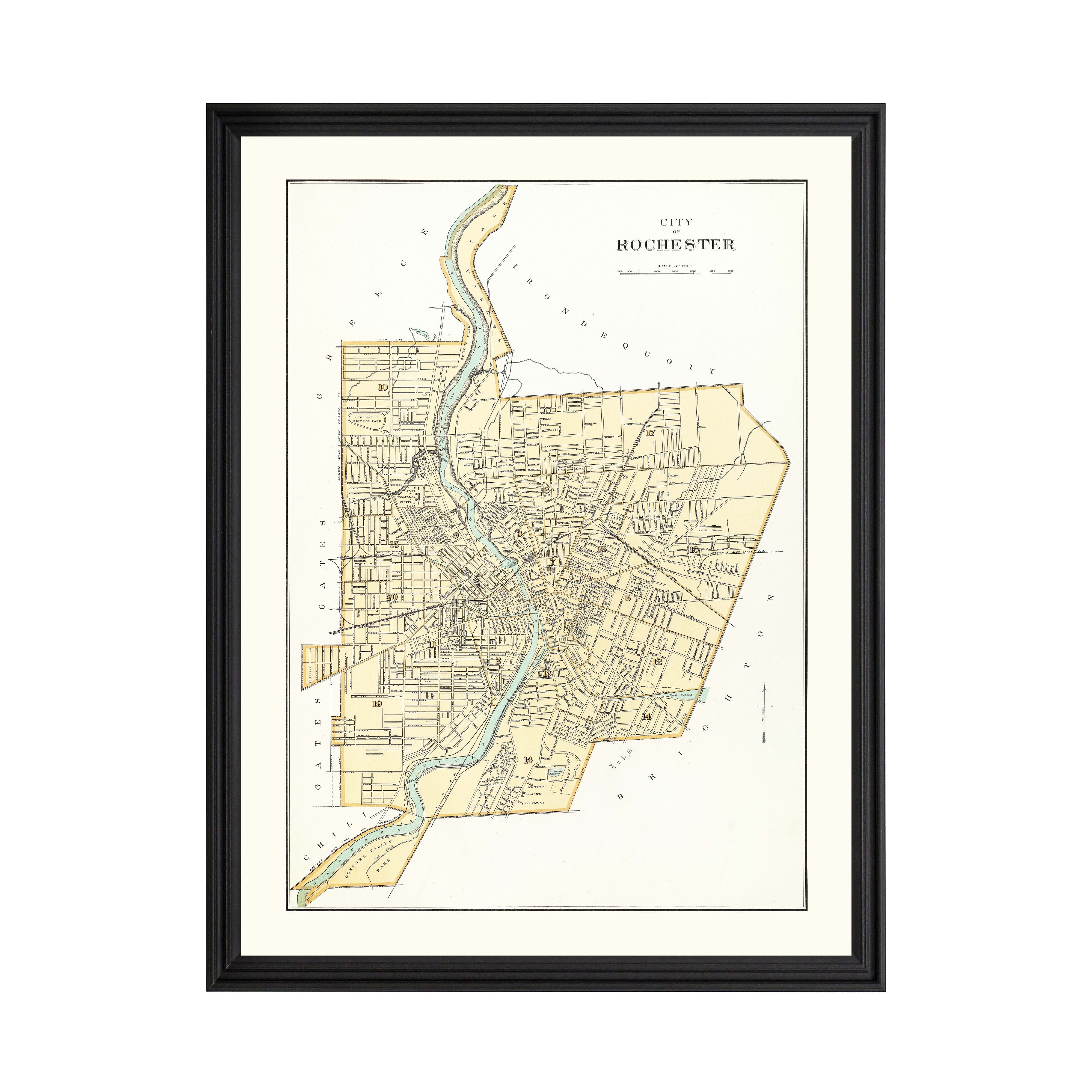 Rochester Art, 1895 Vintage Map of Rochester New York, NY History Wall ...