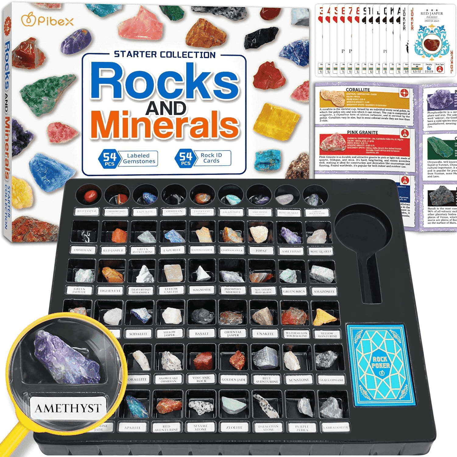 Pibex Rock Collection Science Kit - 54 Pcs Starter Set with Assorted ...