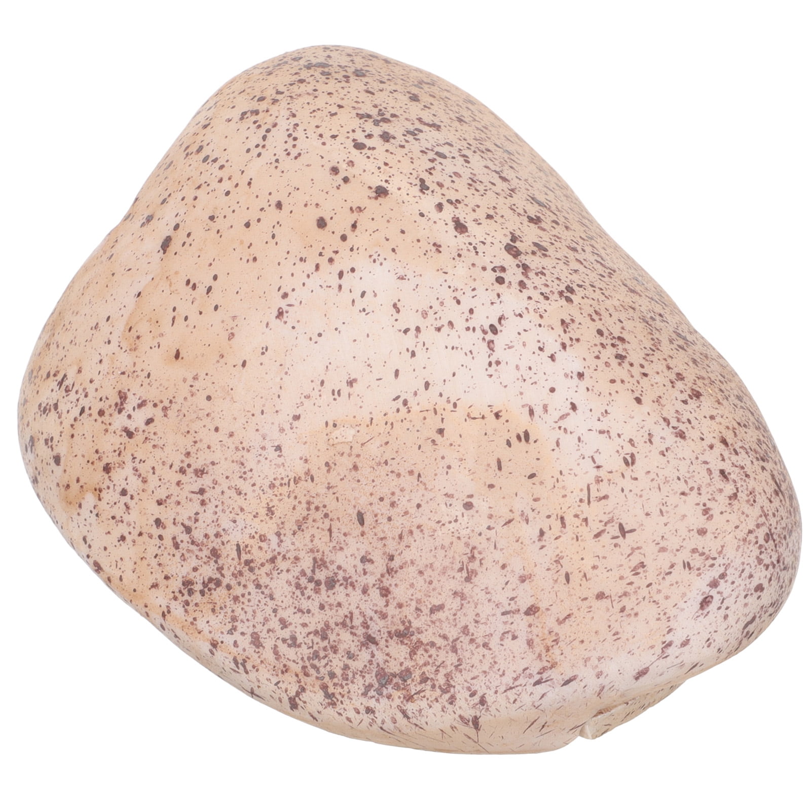 Rock Key Safe Outdoor Fake Key Forget Keys Garden Key Hider 10.5x8.5cm ...