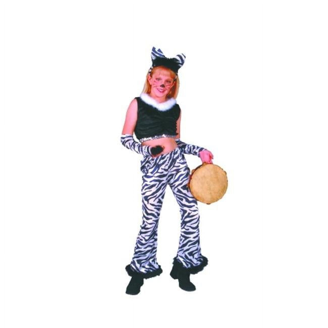 Rock Star Zebra Costume - Size Child-Small - Walmart.com