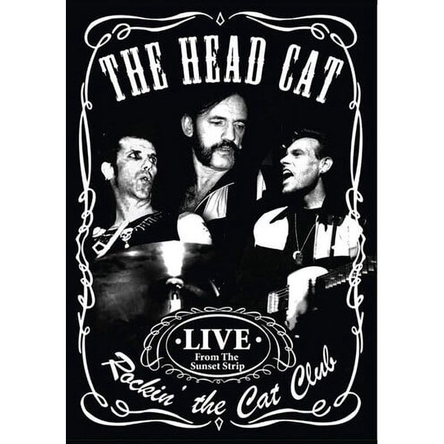 Rockin' The Cat Club (DVD), Cleopatra, Music & Performance - Walmart ...