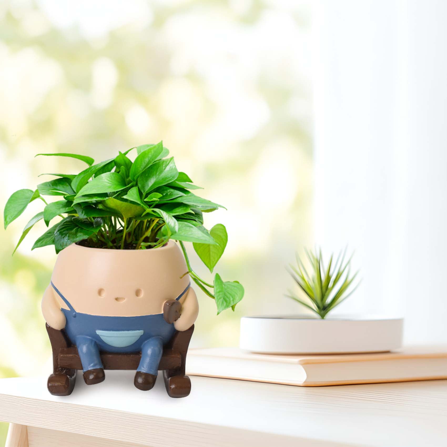 "ZLZLCFZE Rocking Chair Succulent Planter with Smiling Face, Resin ...