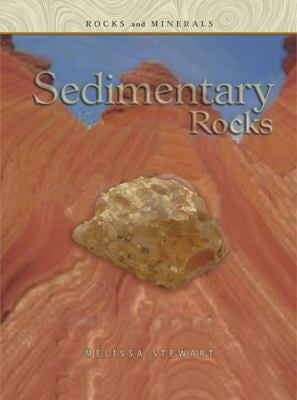 Pre-Owned Sedimentary Rocks (Paperback) 1403400954 9781403400956 ...