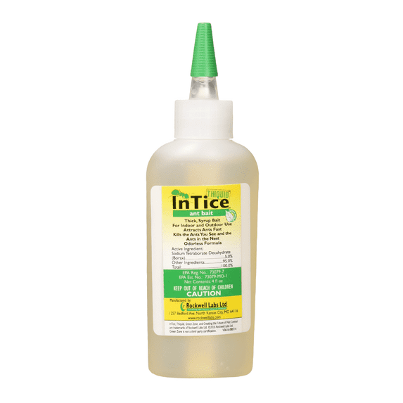 Rockwell Labs InTice Indoor Ant Bait Killer Gel, Borax, Colony Control ...