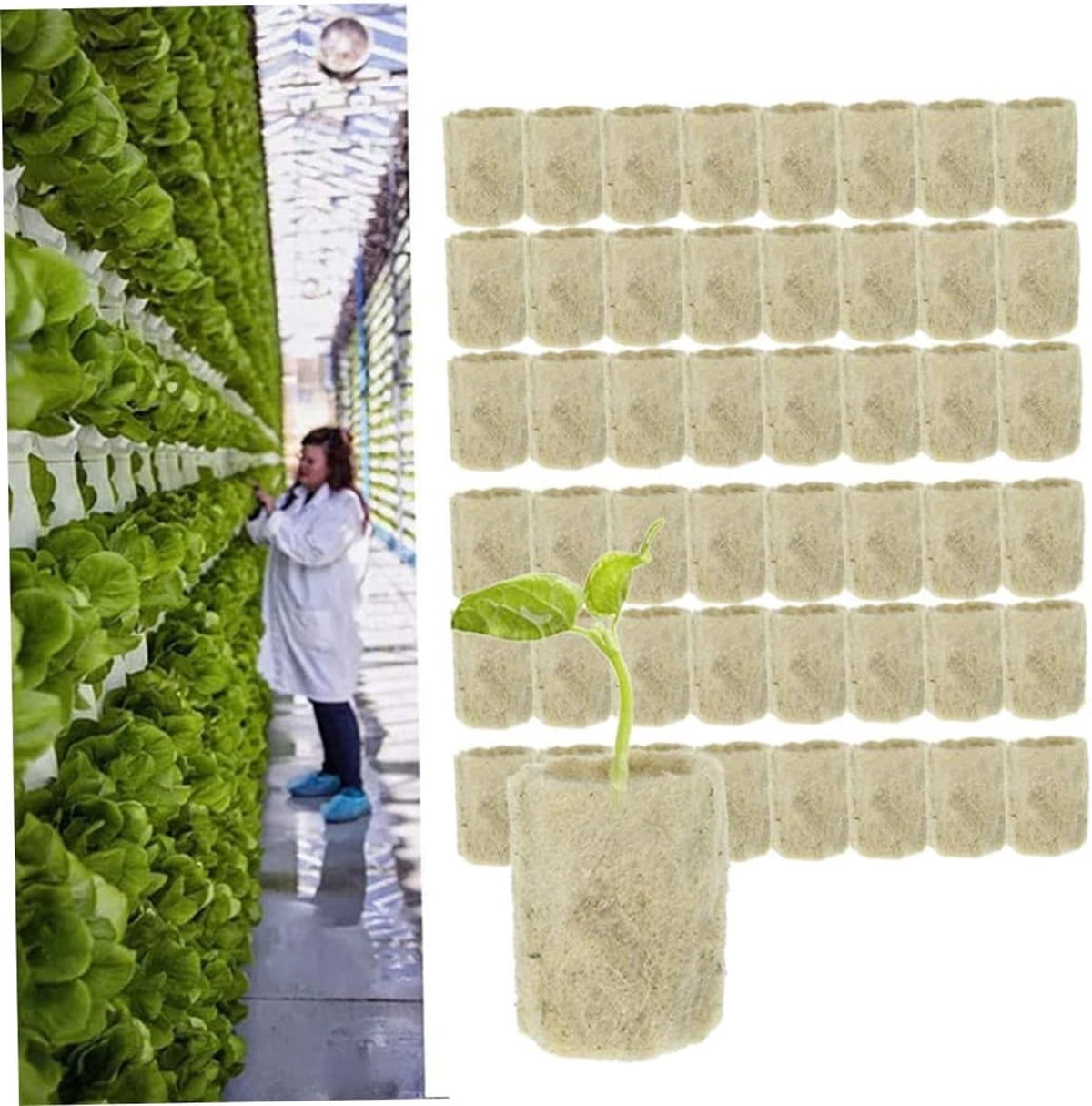 Rockwool Cubes for Hydroponics,Tutuviw 50Pcs Seed Starter Plugs ...