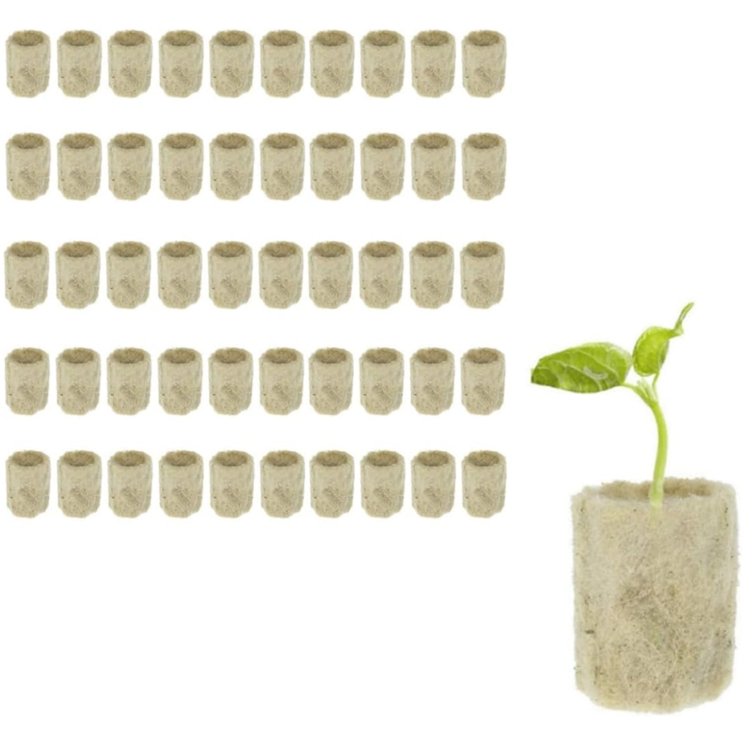Rockwool Grow Cubes Topboutique 50 Pcs Rockwool Cubes,Hydroponic ...