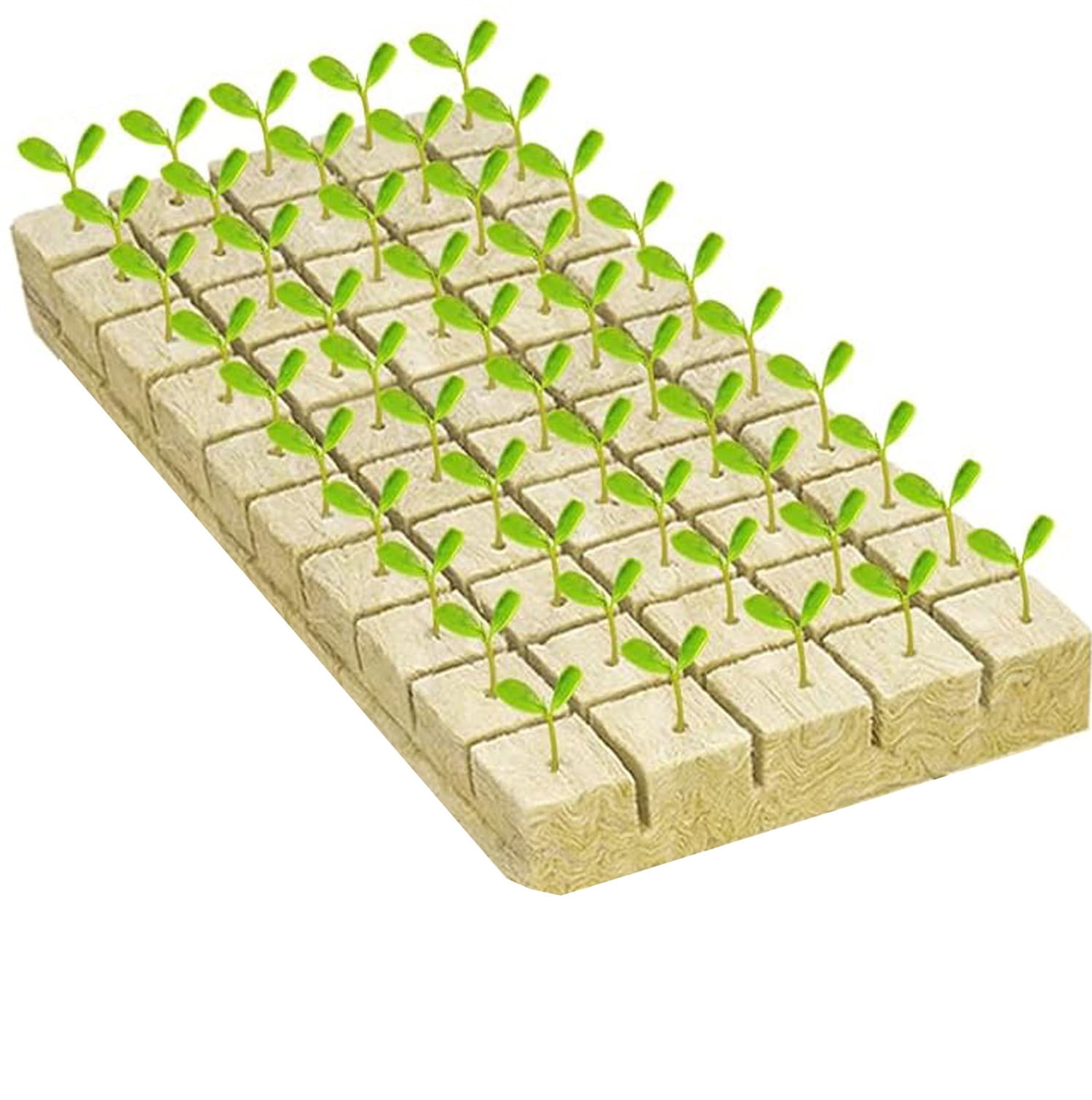 Rockwool Starter Plugs-1 Sheets of 50 Plugs Rockwool Grow Cubes Rock ...