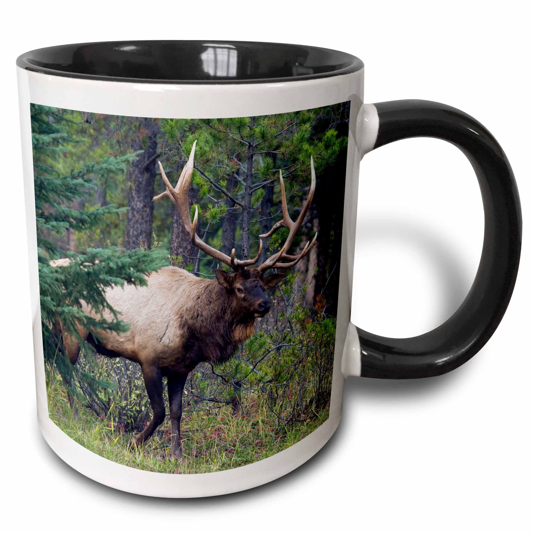 3drose, Rocky Mountain Bull Elk Walking Through the Forest., 11oz Two ...