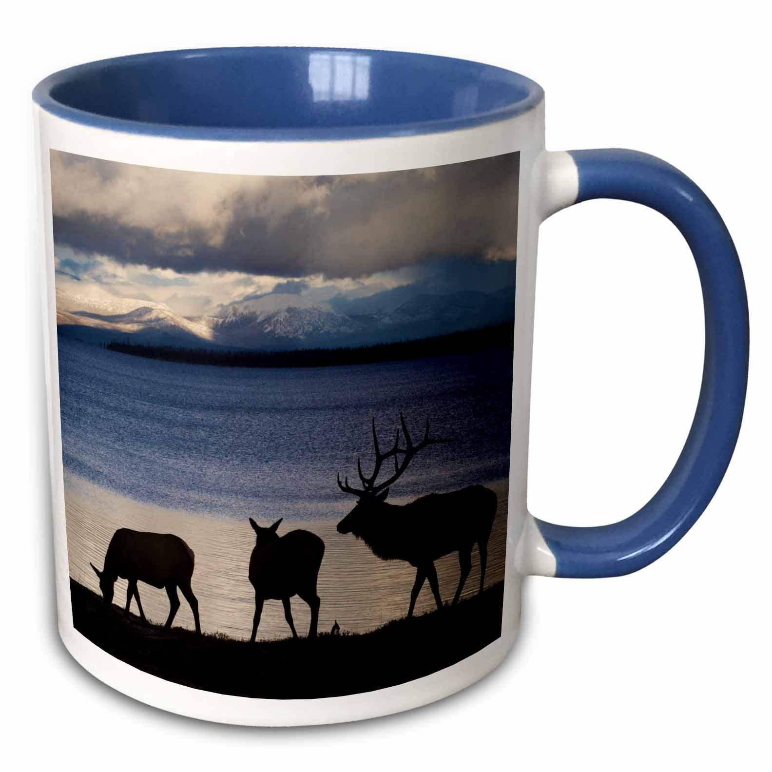 Rocky Mountain Bull and Cow Elk, Yellowstone NP, Wyoming 15oz Two-Tone ...