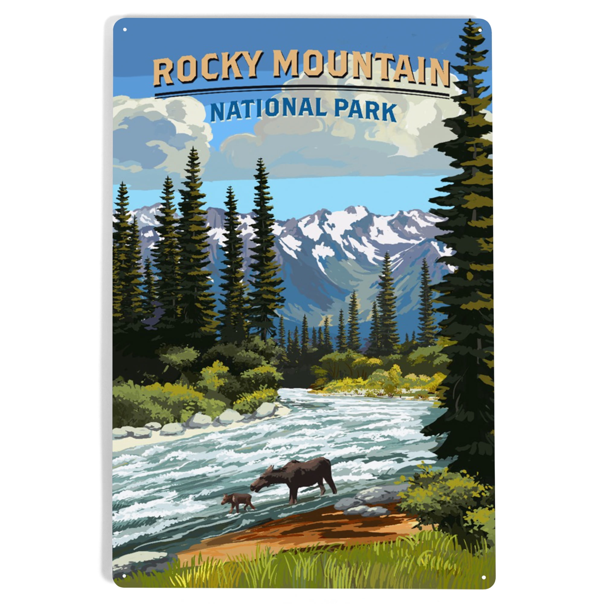 Rocky Mountain National Park, Moose and River Rapids (12x18 Aluminum ...