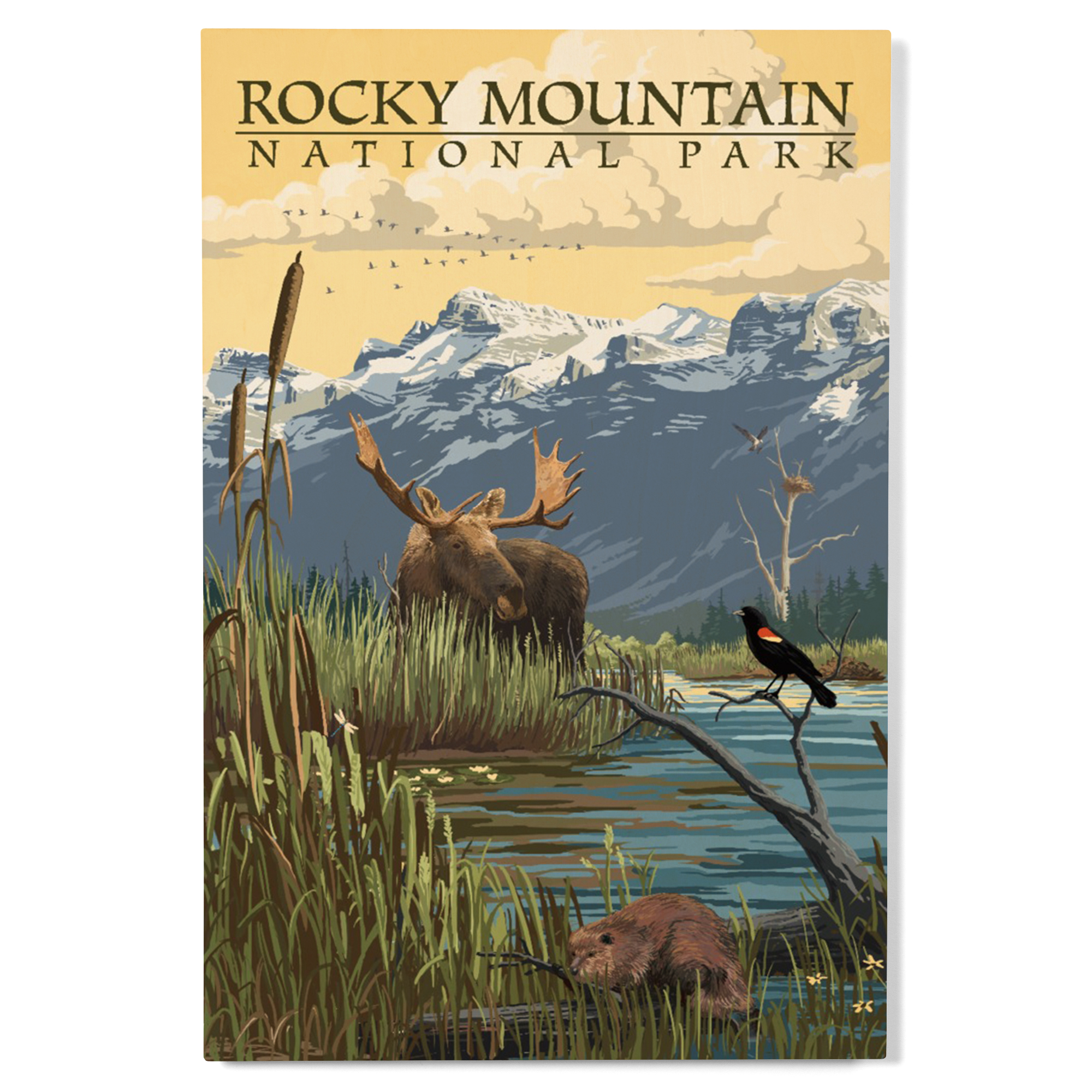 Rocky Mountain National Park, Mountain and Marsh Scene Birch Wood Wall ...