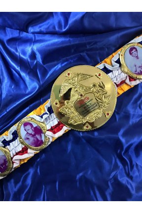 Boxing Belt
