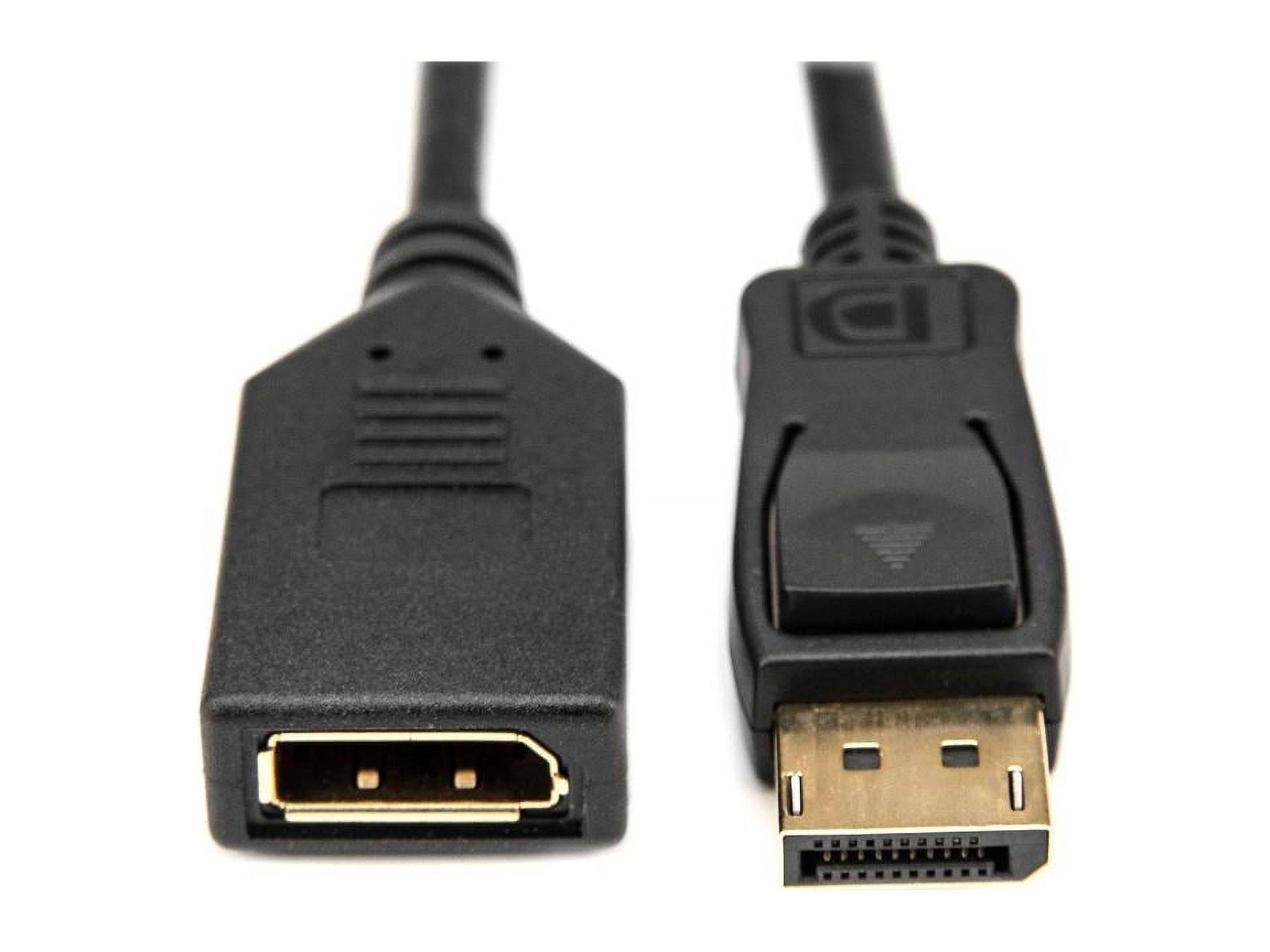 Rocstor 6ft DisplayPort Video Extension Cable - Walmart.com