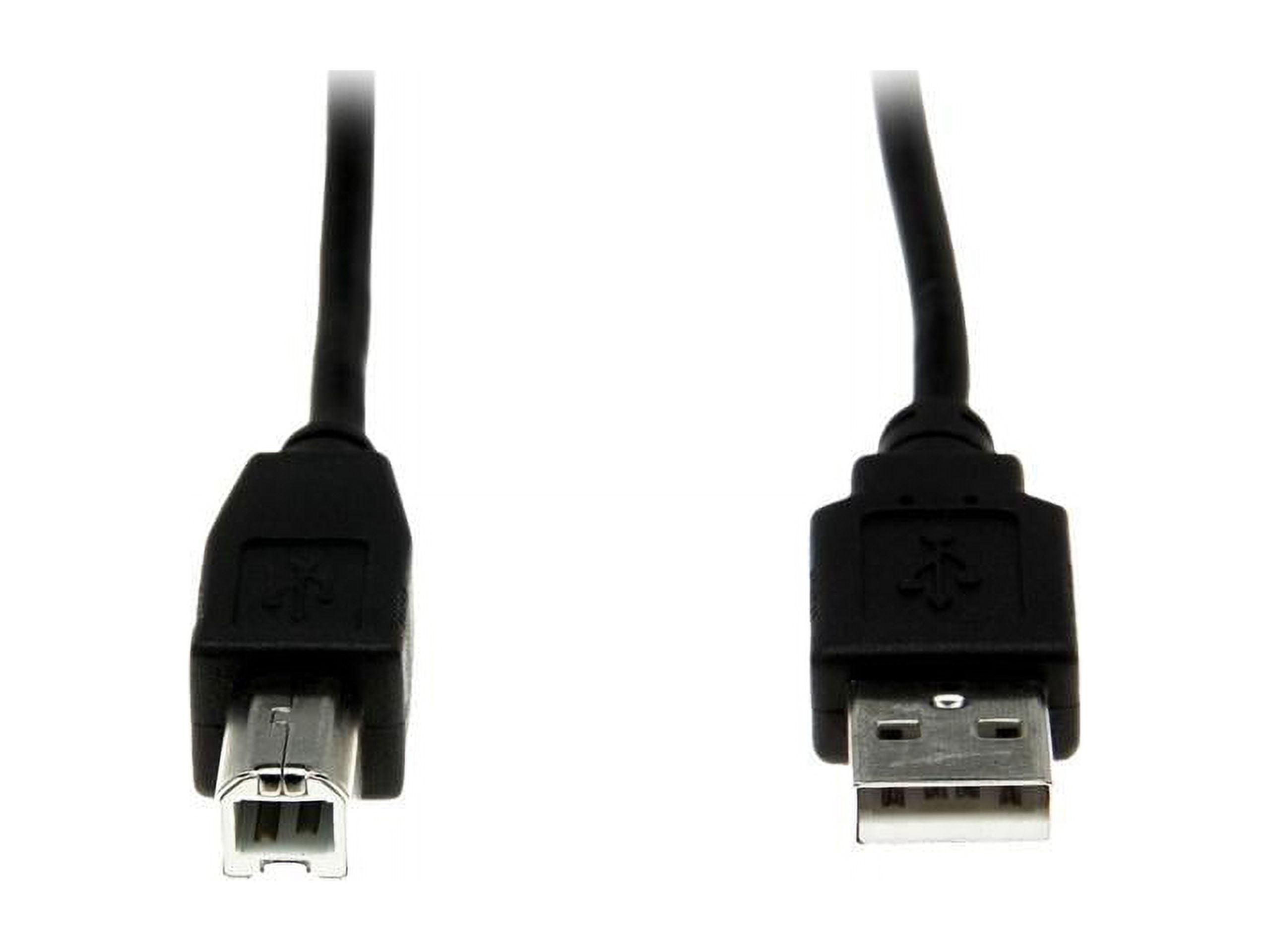 Rocstor Premium High Speed USB 2.0 - 6 ft USB cable - 4 pin USB Type A ...