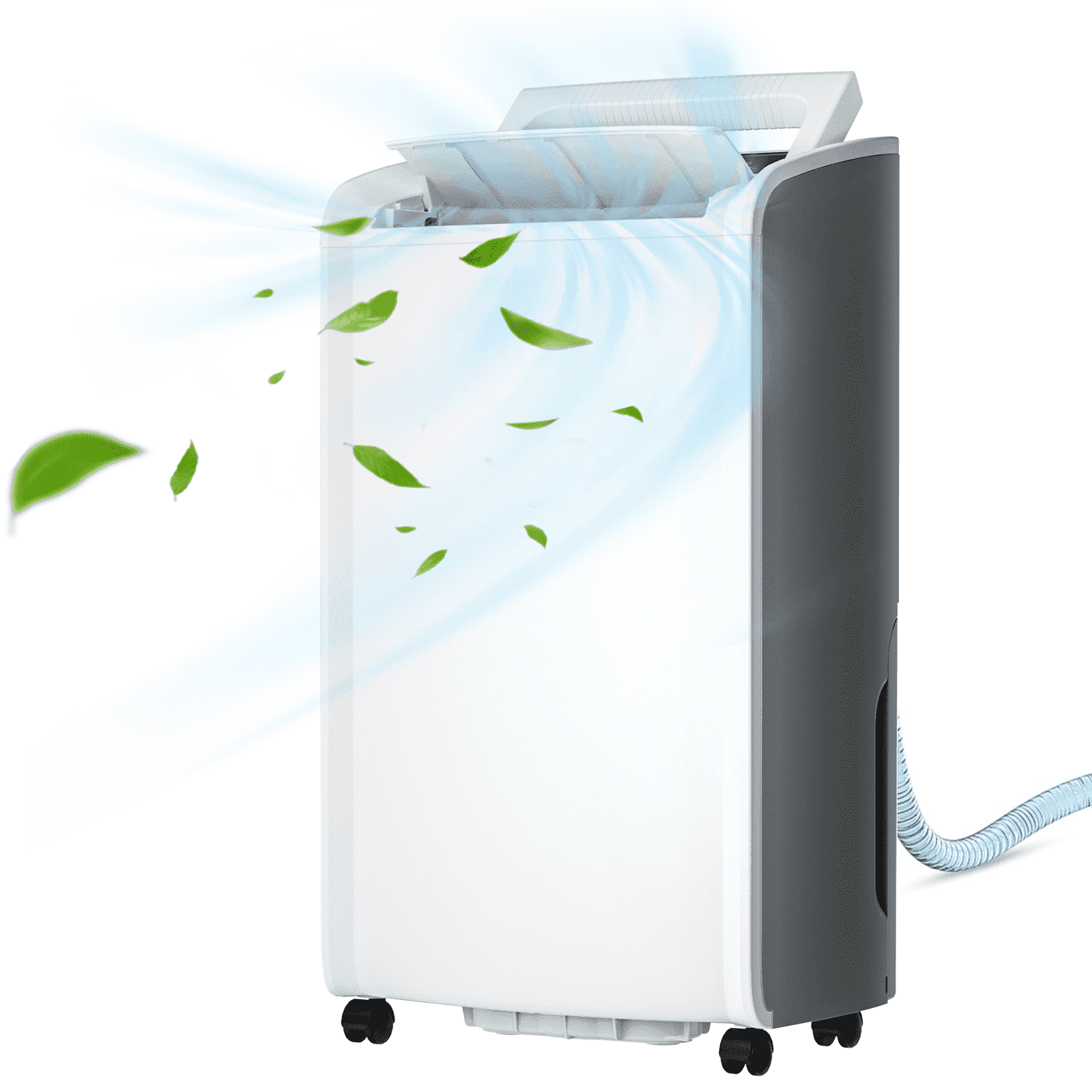 Rocyis 70 Pints Dehumidifier for 5000 Sq. Ft. Home, with Auto Shut off ...