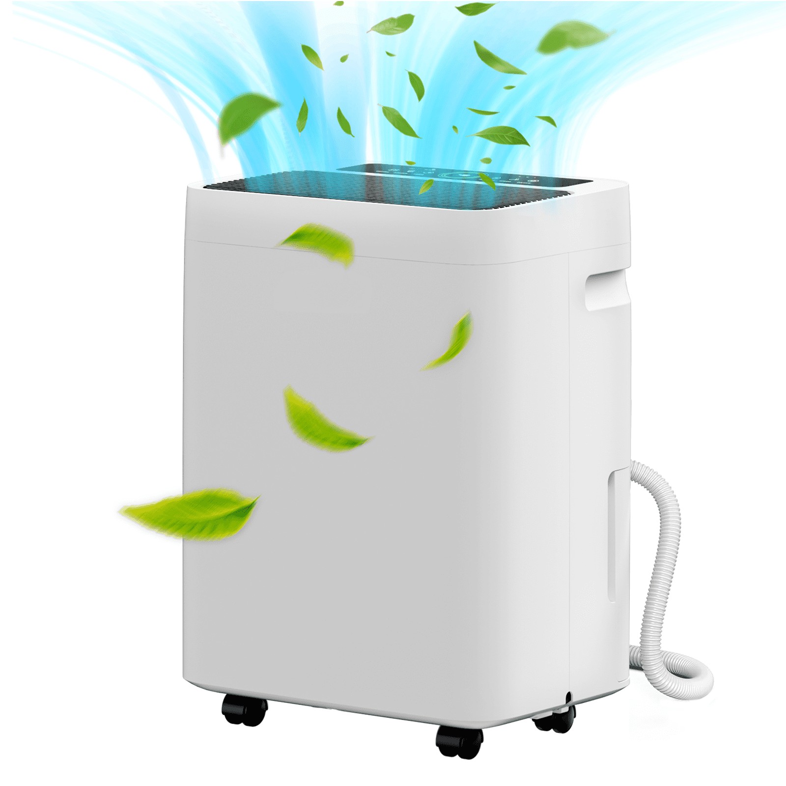 Rocyis 50-Pint Dehumidifier with Drain Hose, Max 3500 Sq. Ft ...