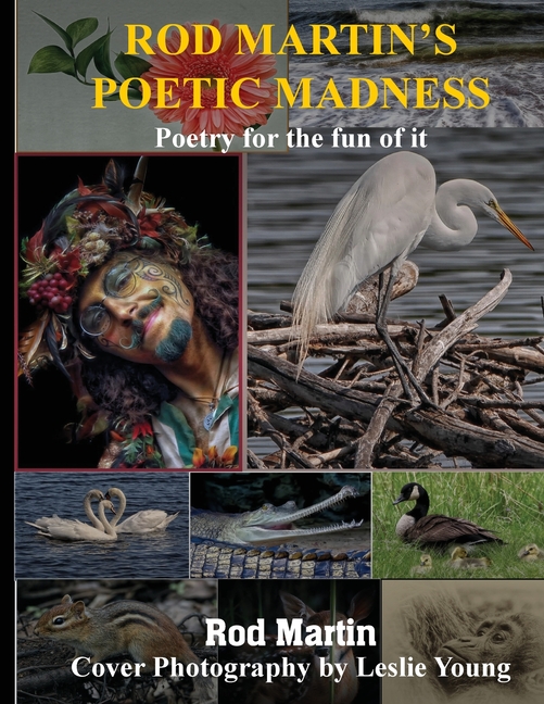 Rod Martin's Poetic Madness: Poetry for a New World and All Earth's ...