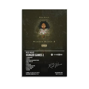 Hunger Games Posters