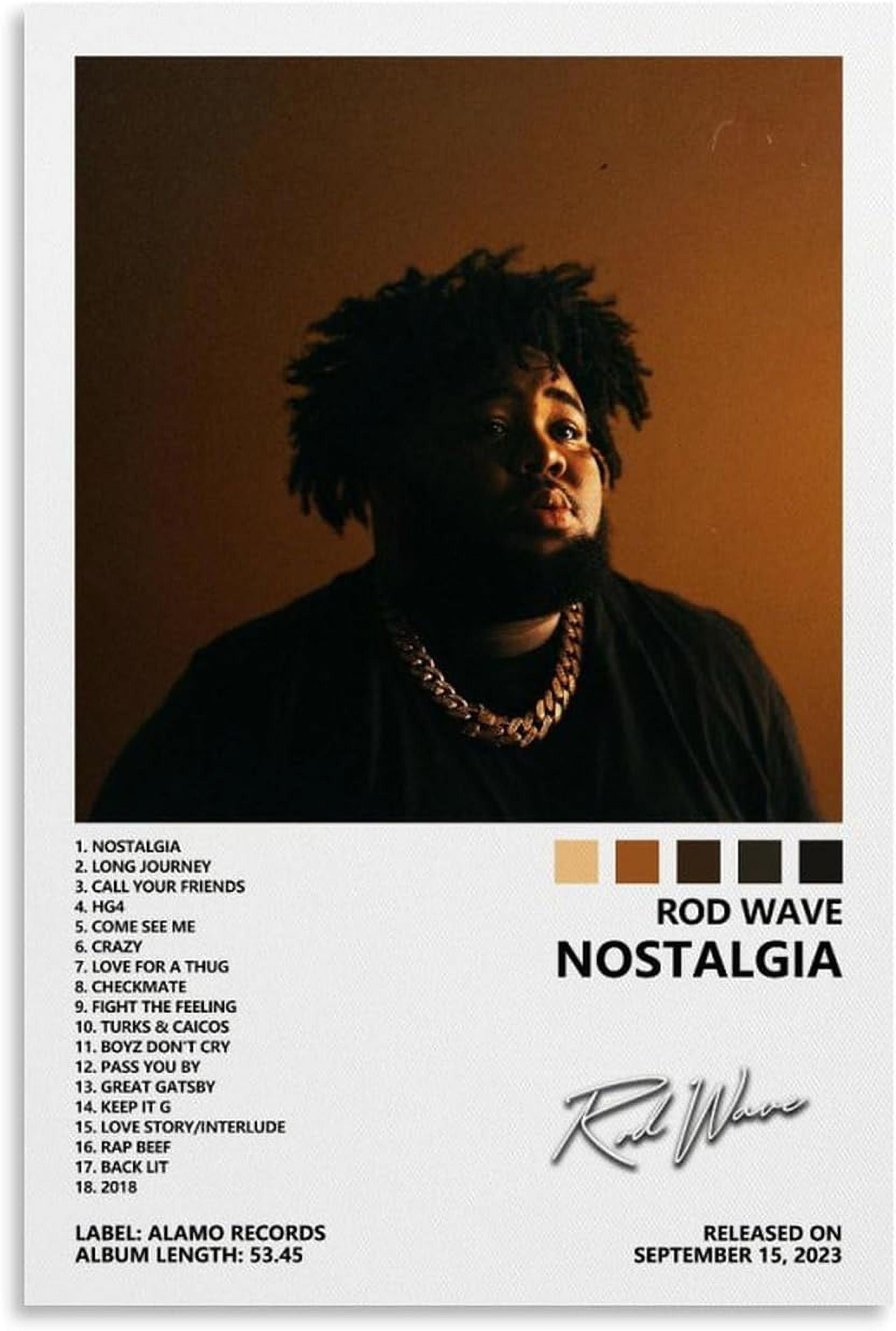 Rod Wave Poster Nostalgia Album Cover Poster Posters for Room Aesthetic ...